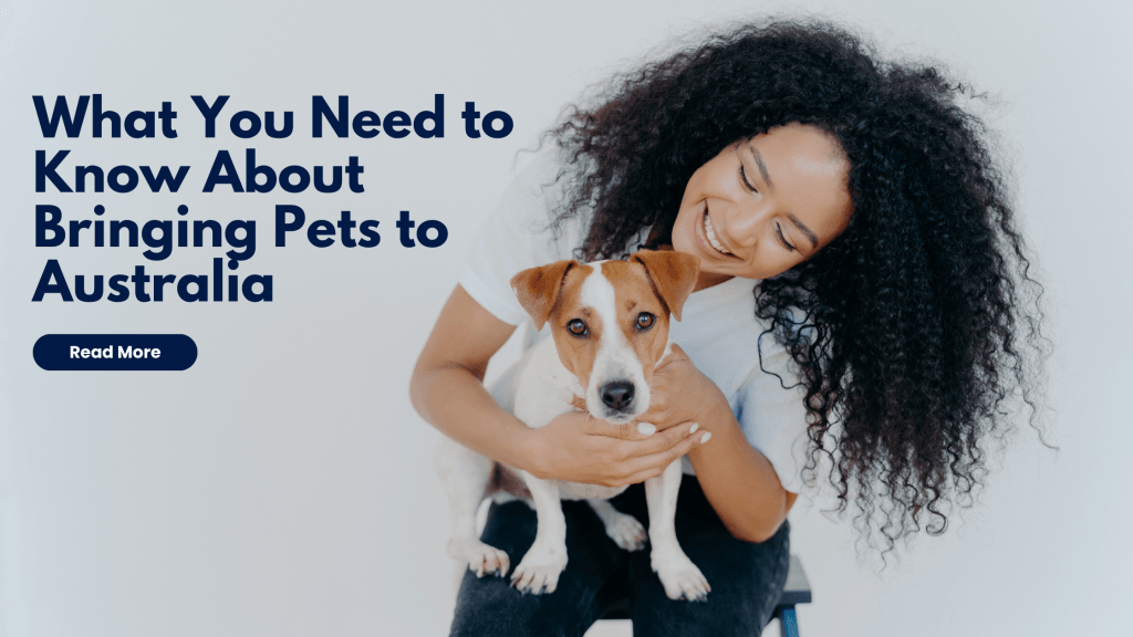 What You Need to Know About Bringing Pets to Australia | Australian ...